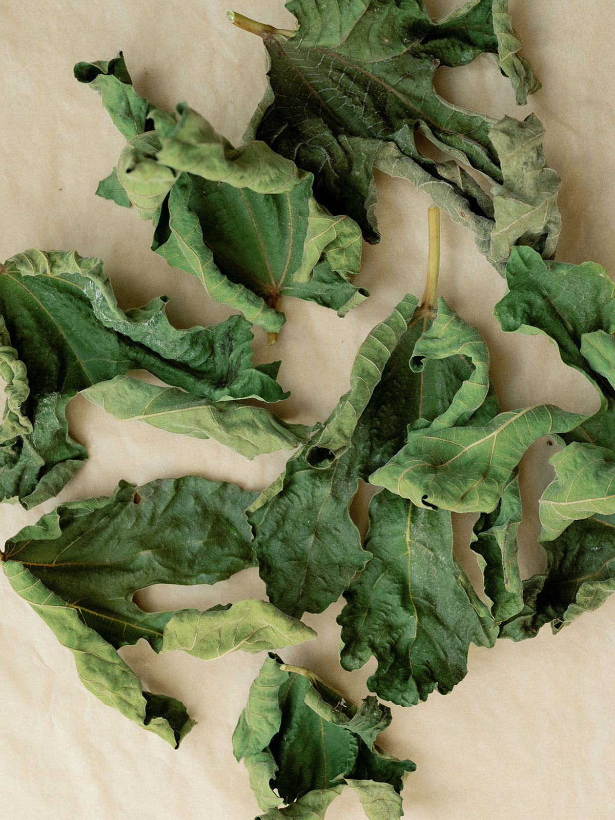 Fig Leaf Powder & Sugar - Coco et sel